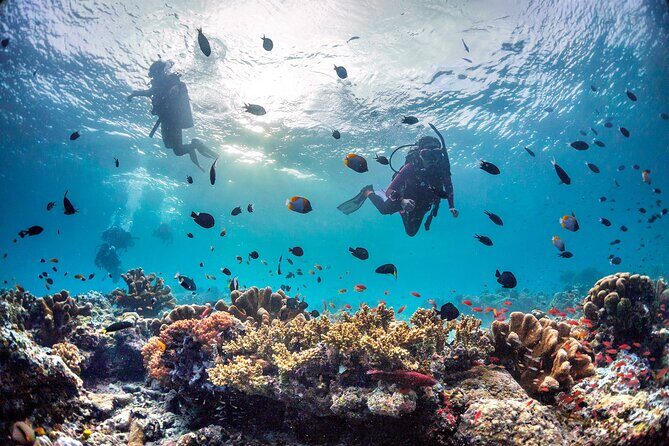 PADI Advanced Open Water Course Kota Kinabalu - The Sum Up