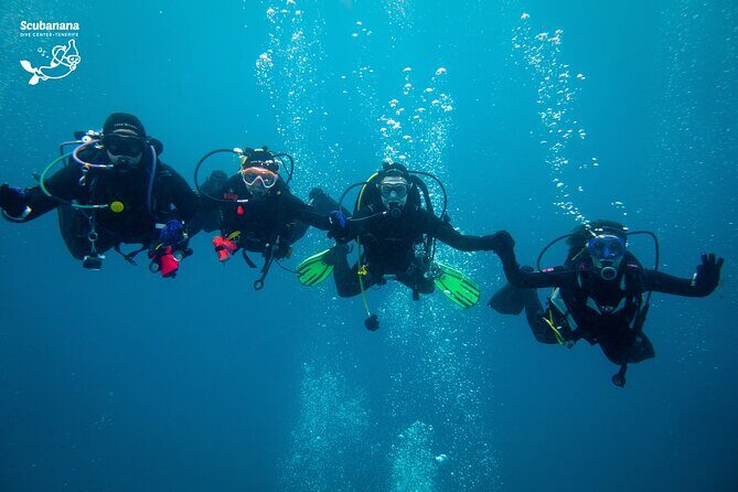 PADI Advanced Open Water Diver Course (AOWD) - 2 days - Authentic Reviews & Experiences