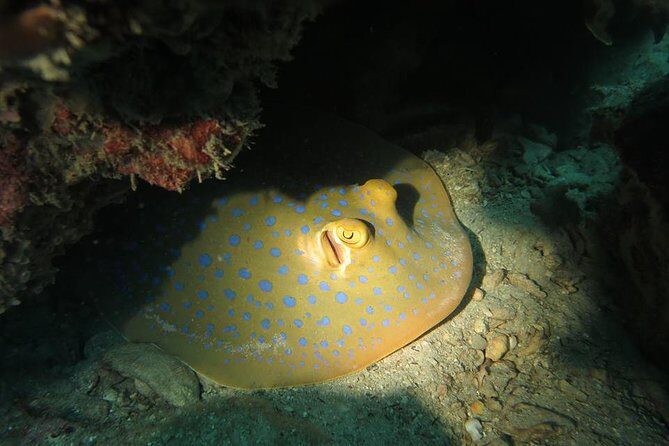 Padi Advanced open Water Diver Courses (Start at Koh Chang) - The Itinerary: From Classroom to Coral Reefs