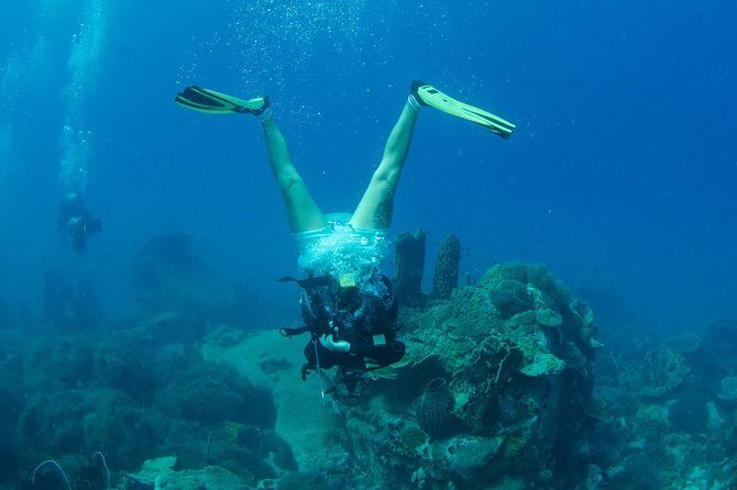 Padi Advanced open Water Diver Courses (Start at Koh Chang) - Why This Course Is Worth the Cost