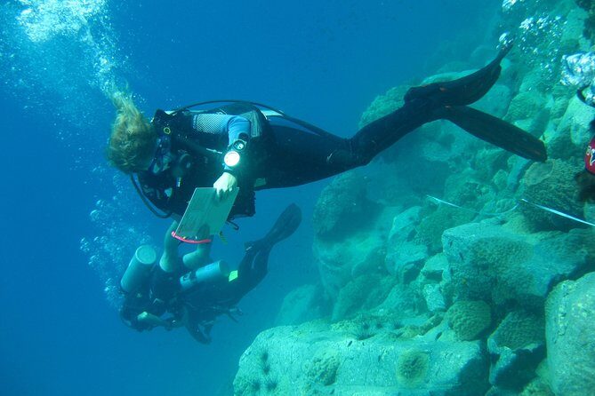 Padi Advanced open Water Diver Courses (Start at Koh Chang) - Who Would Love This Experience?