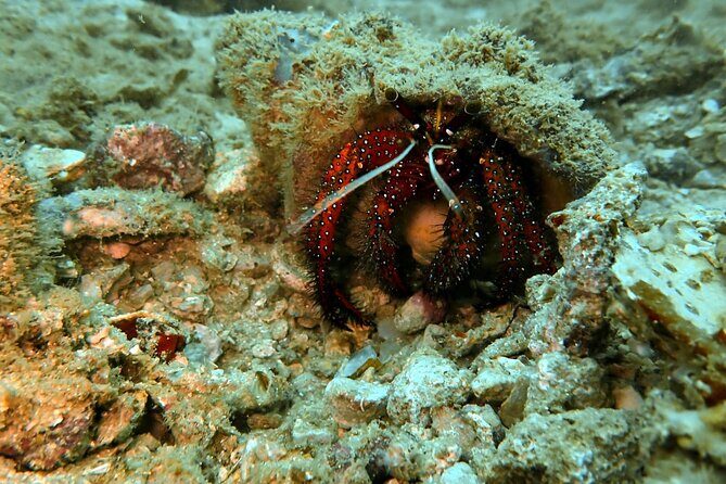 PADI Discover Scuba 2 Times Diving Phuket - FAQ