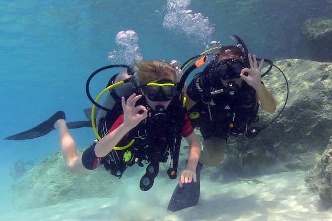 PADI Discover Scuba Dive at Coral Divers Curacao - The Itinerary: From Briefing to Beautiful Reef