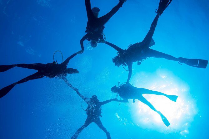 PADI Discover Scuba Diving - What Is the PADI Discover Scuba Diving Experience?