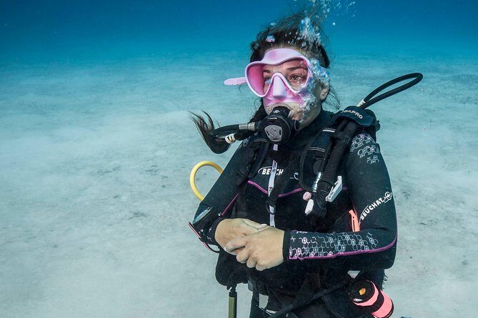 PADI Discover Scuba Diving - What Travelers Say: Authentic Perspectives
