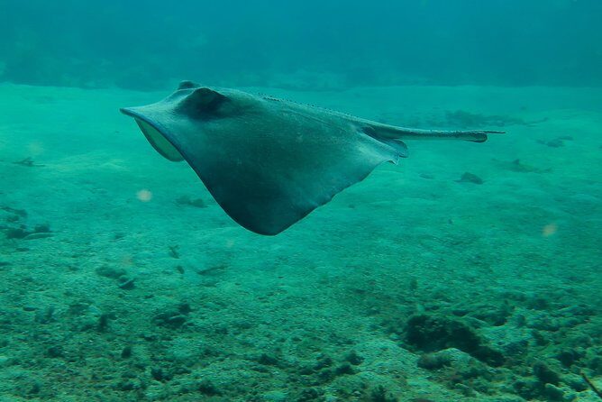 PADI Discover Scuba Diving - The Value of This Experience