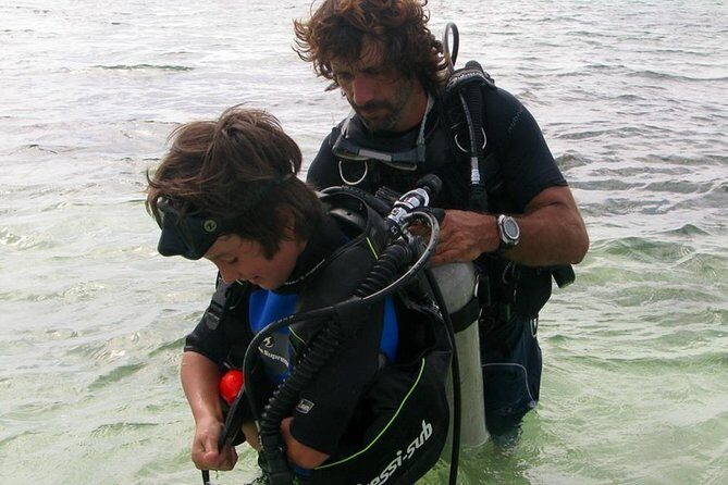 PADI Discover Scuba Diving - The Sum Up: Why This Tour Is Worth Considering