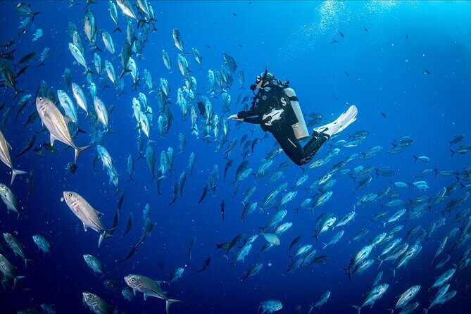PADI Discover Scuba Diving - What’s Included and What’s Not