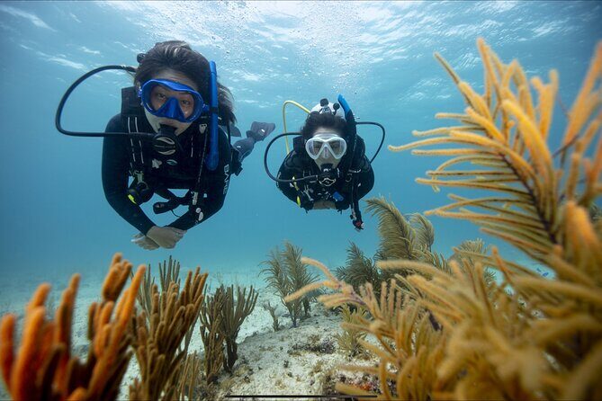 PADI Discover Scuba Diving - Authentic Feedback from Participants