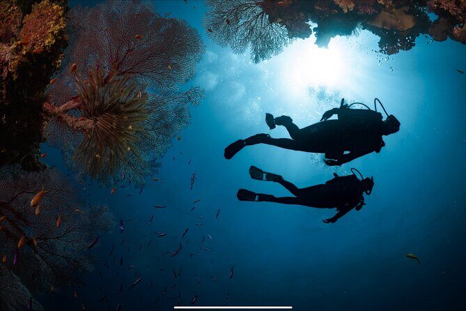 PADI Discover Scuba Diving - Who Should Book This Tour?