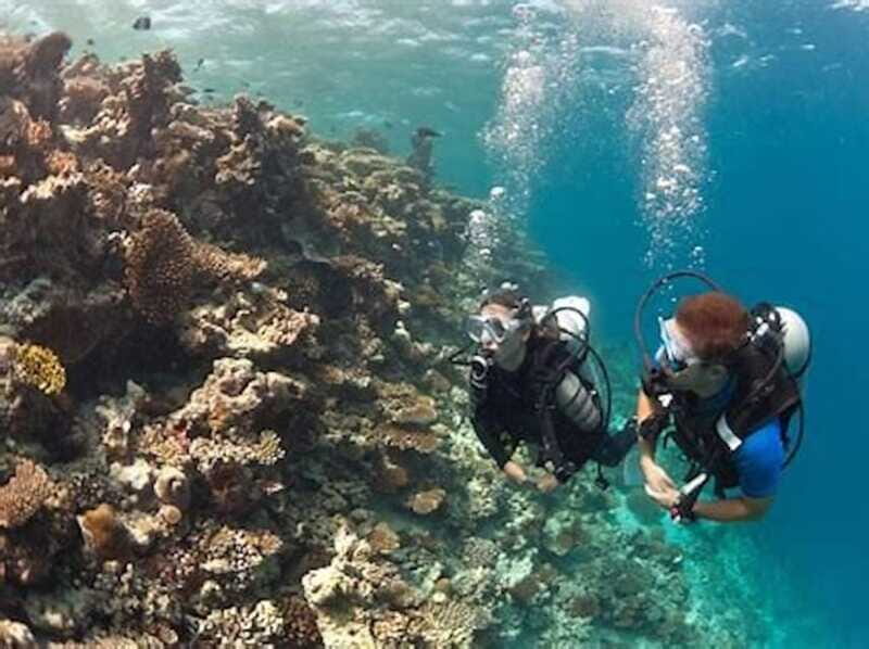 PADI Discover Scuba Diving: at Hol Chan Marine Reserve - The Value Proposition: Is It Worth It?