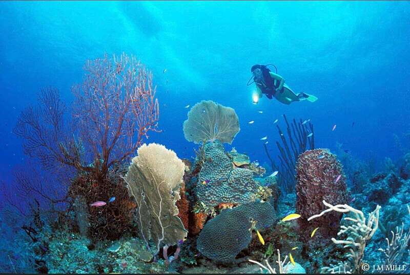 PADI Discover Scuba Diving: at Hol Chan Marine Reserve - The Itinerary in Detail: Why It Works