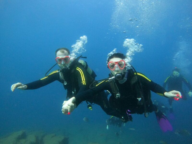 PADI Discover Scuba Diving Course in Tenerife - Why This Tour Is Worth Considering