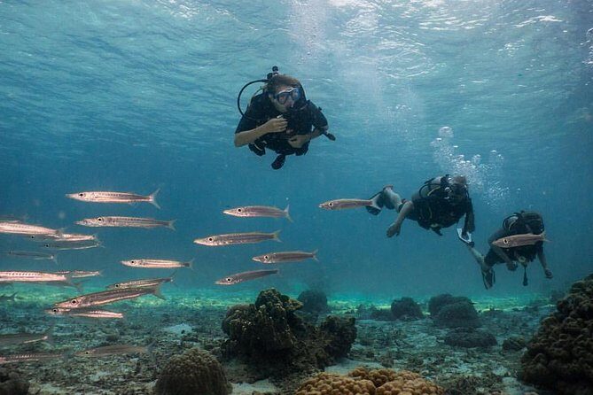 PADI Discover Scuba Diving Experience Full Day Trip - Key Points