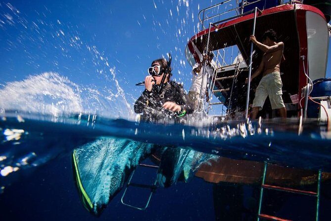 PADI Discover Scuba Diving Experience Full Day Trip - What the Experience Feels Like