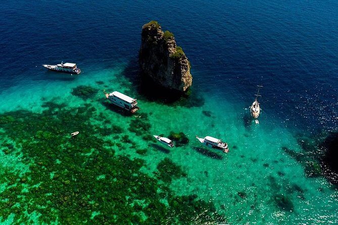 PADI Discover Scuba Diving Experience Full Day Trip - The Reviews Speaks Volumes