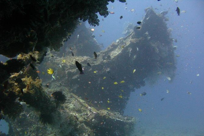 PADI Discover Scuba Diving for Beginners in Tulamben - Final Thoughts