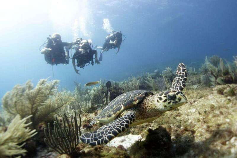 PADI Discover Scuba Diving for divers without certification - A Practical Look at the Experience