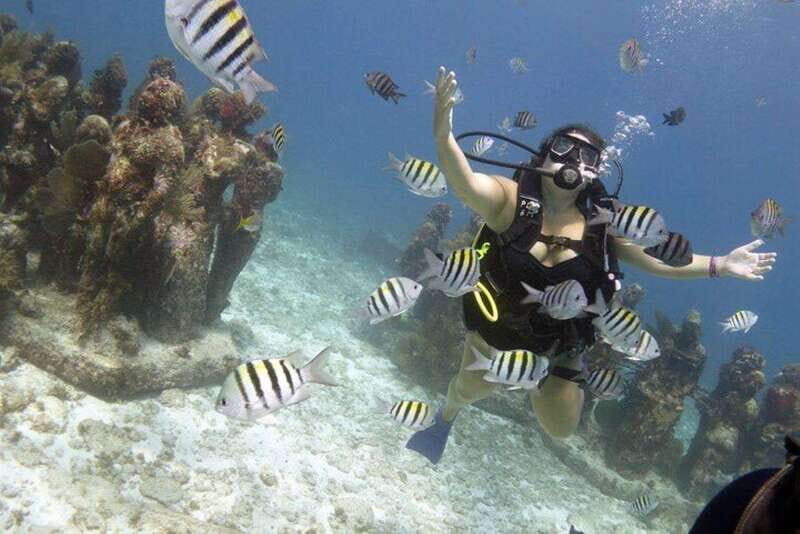 PADI Discover Scuba Diving for divers without certification - Why Choose This Experience?