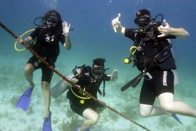 PADI Discover Scuba Diving for divers without certification - Why Choose This Tour?
