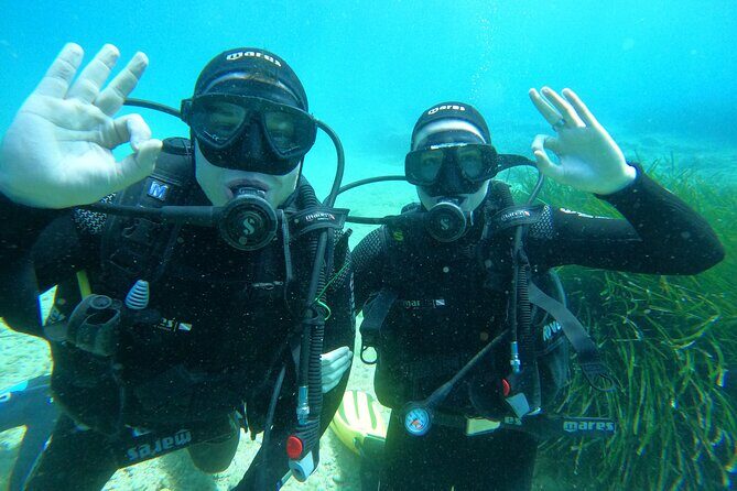 PADI Discover Scuba Diving in Dubrovnik - Key Points