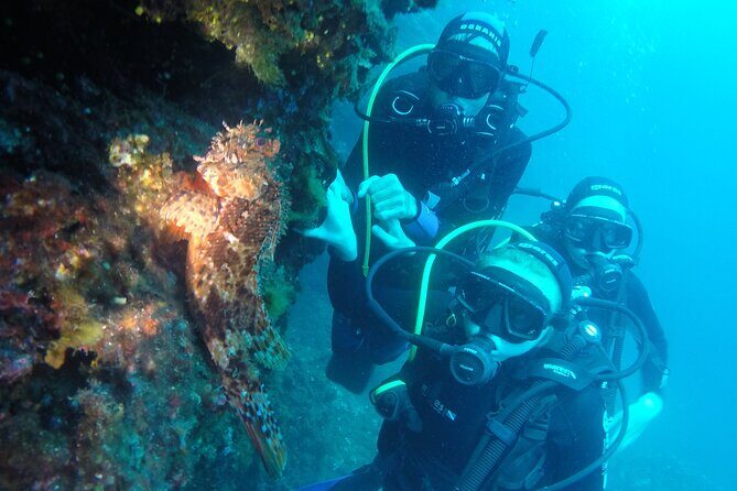 PADI Discover Scuba Diving in Dubrovnik - Who Should Consider This Tour?