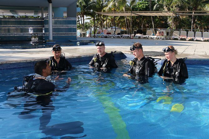 PADI Discover Scuba Diving in Playa del Carmen - Key Points