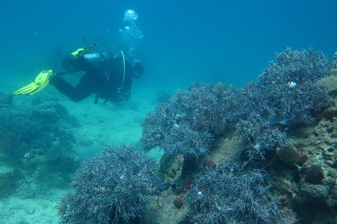 PADI Discover Scuba Diving - introduction program for beginners - Who Should Consider This Tour?