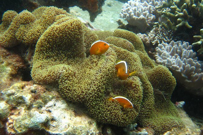 PADI Discover Scuba Diving - introduction program for beginners - FAQs about PADI Discover Scuba Diving in Nha Trang