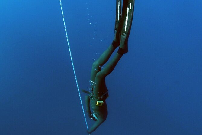 PADI Freediver Course - What Is the PADI Freediver Course All About?
