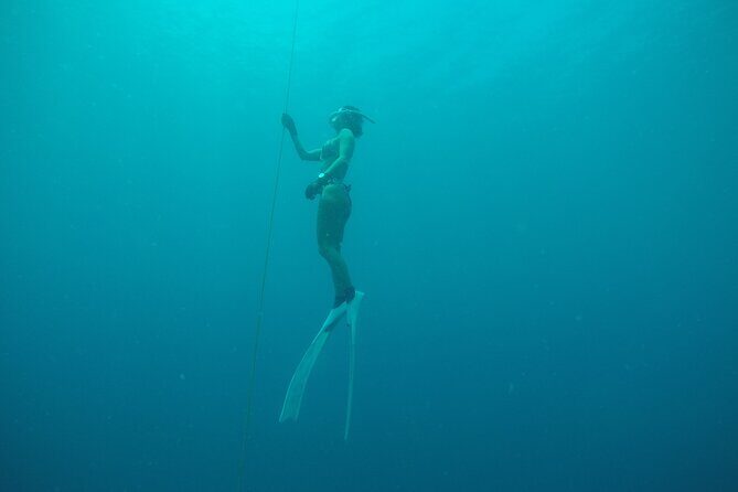 PADI Freediver Course - The Sum Up: Is This Freediving Course Worth It?