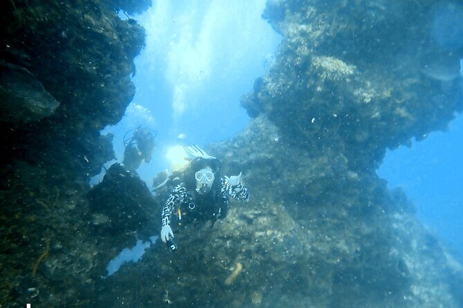 PADI Open Water Certification Course Shared Experience - Introduction