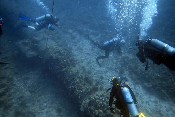 PADI Open Water Certification Course Shared Experience - Key Points