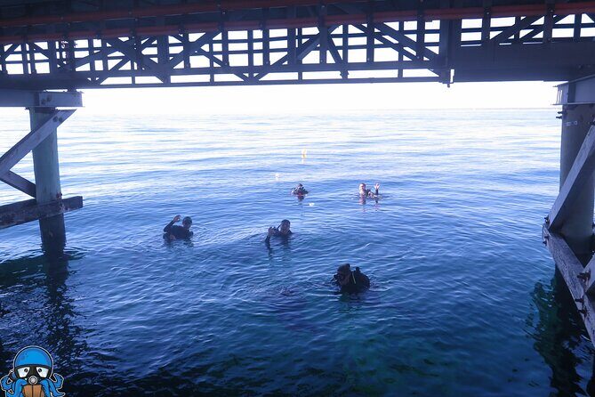 PADI Open Water Course - Final Thoughts