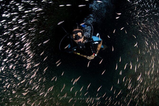 PADI Open Water Course in Cabo San Lucas - Introduction
