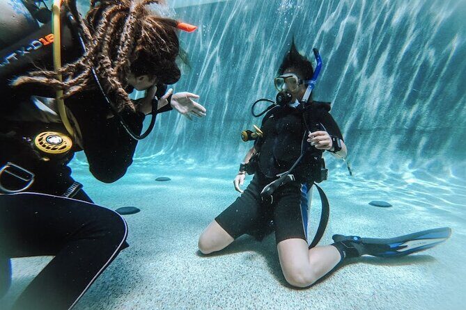 PADI Open Water Course in Cabo San Lucas - Key Points