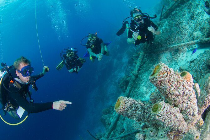 PADI Open Water Course in Curacao - Key Points