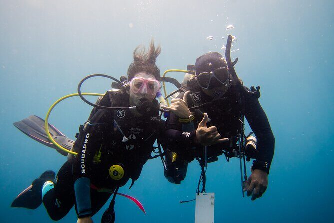 PADI Open water Course in Lembongan - Get certified & dive anywhere in the world - Authentic Experiences & Traveler Feedback