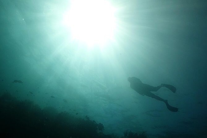 PADI Open Water Course in Menjangan - Key Points
