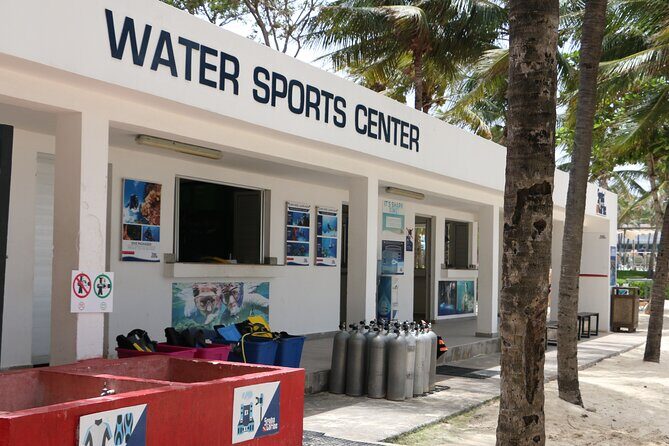 PADI Open Water Diver Course in Playa del Carmen - Who Will Love This Experience?