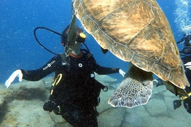 PADI Scuba Dive Course in Costa Adeje - An In-Depth Look at the PADI Scuba Dive Course in Costa Adeje