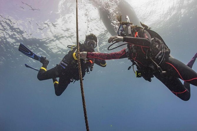 PADI Scuba Diver Course - Final Thoughts: Is It Worth It?