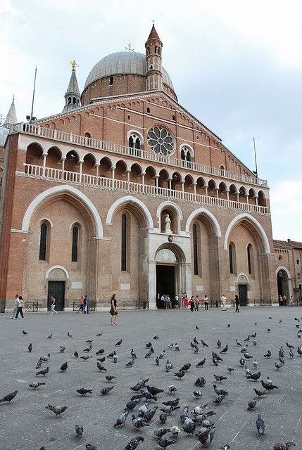Padua City 2.5-Hour Walking Tour - Walking the Heart of Padua