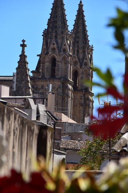 Paella over Palma - An Overview of What You Can Expect