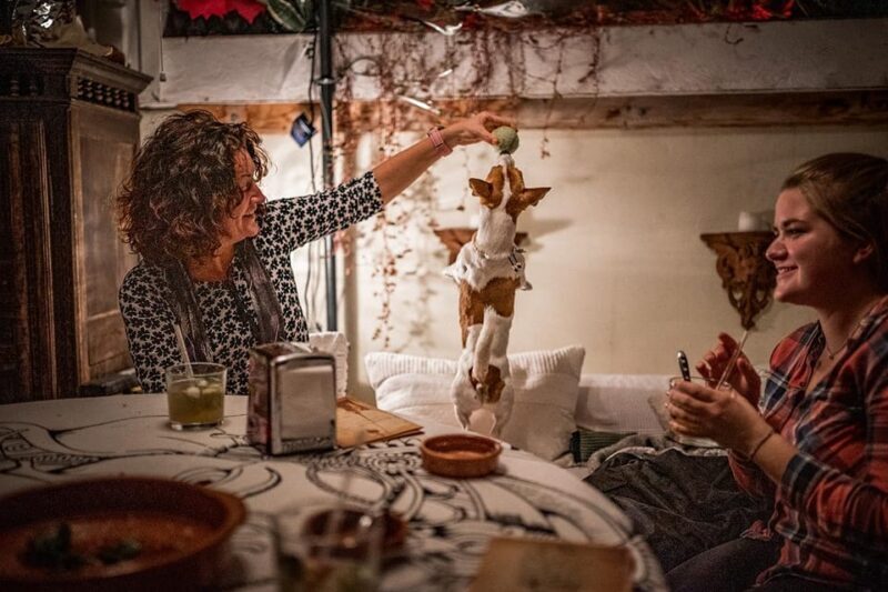 Paella over Palma - Practical Details and Tips
