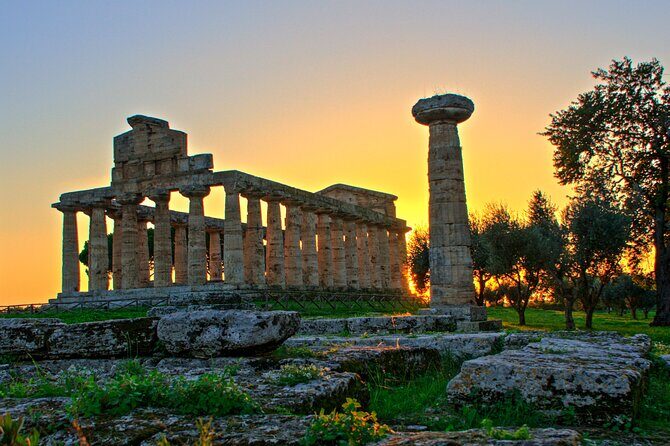 Paestum and Dairy day tour from Naples - Exploring Paestum: Ancient Greek Marvels
