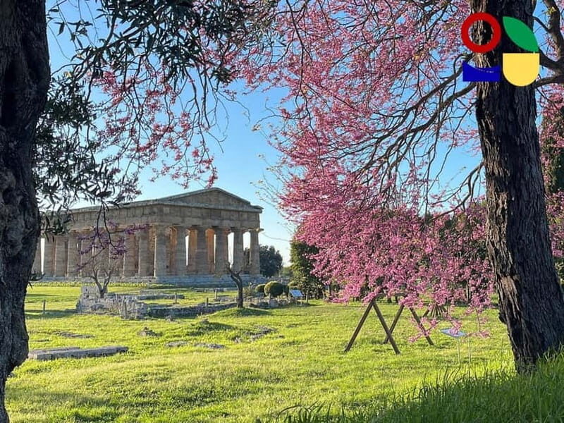 Paestum: City Orientation Tour - What Makes This Tour Stand Out