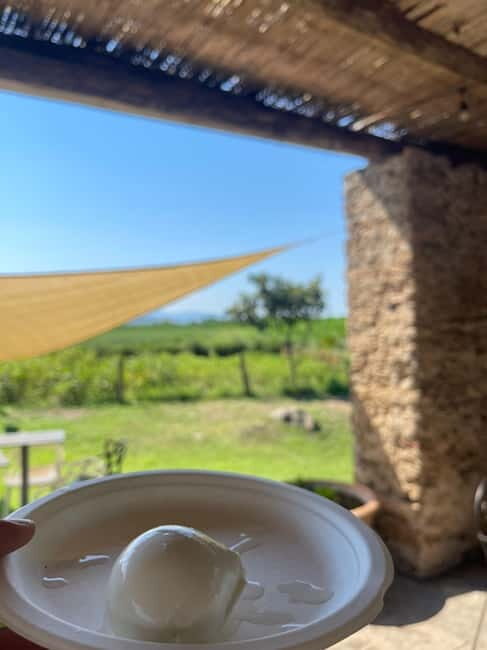 Paestum: City Orientation Tour - FAQ