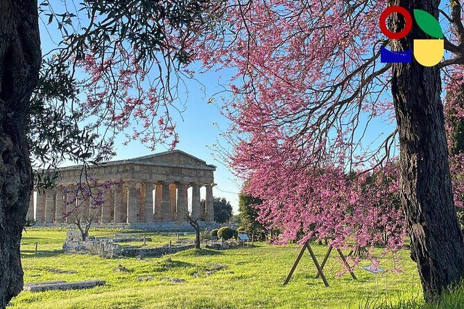 Paestum Orientation Tour - Small Group Experience and Practicalities