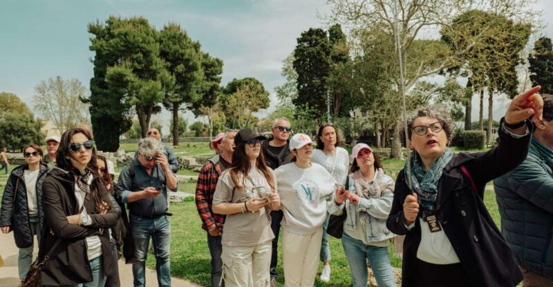 Paestum: Small-Group Tour with an Archaeologist and Tickets - A Deep Dive into the Paestum Experience